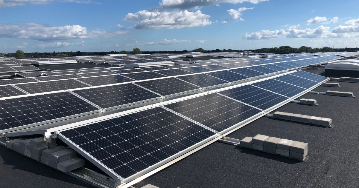 Hjemmelavet el - bring.dk